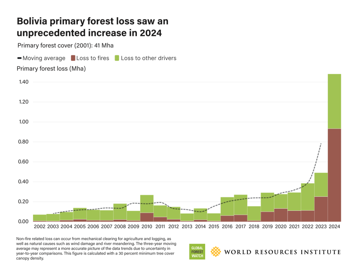 New Data Reveals Alarming Deforestation Trends - Apes Reporting Project